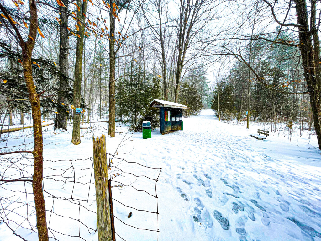 Silver Creek Conservation Area: Picturesque Trails for Winter Hiking
