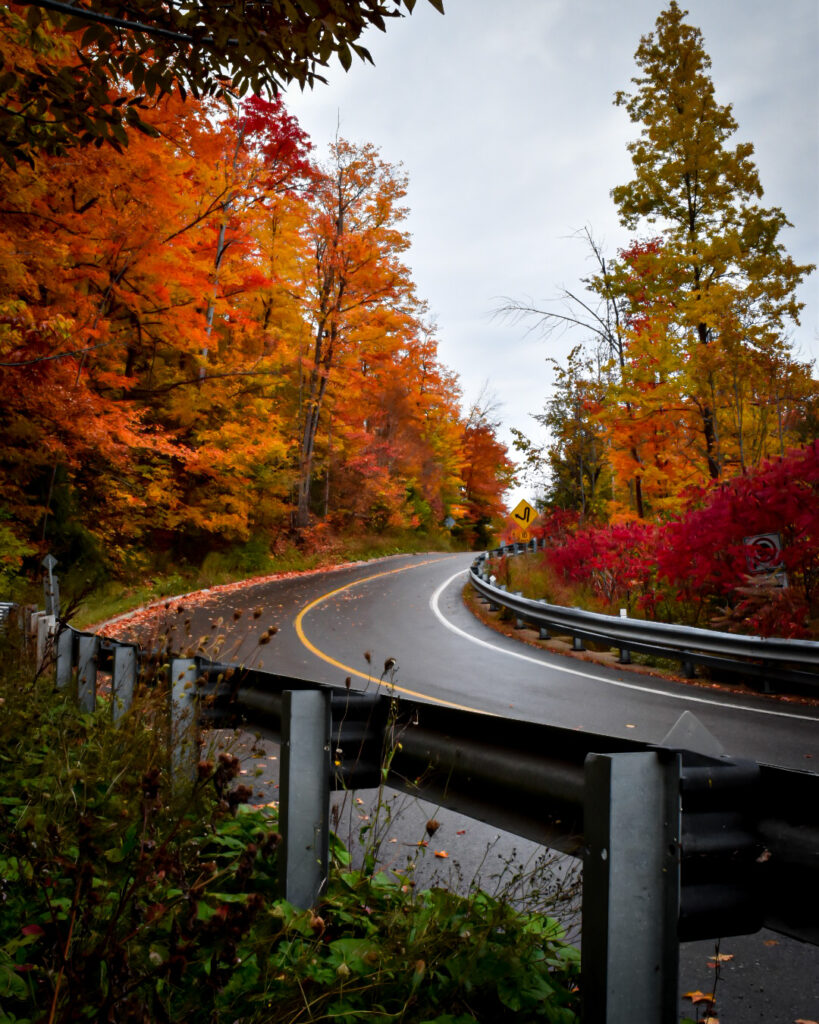 5 Travel Bloggers Share their Favourite Fall Destinations in Ontario