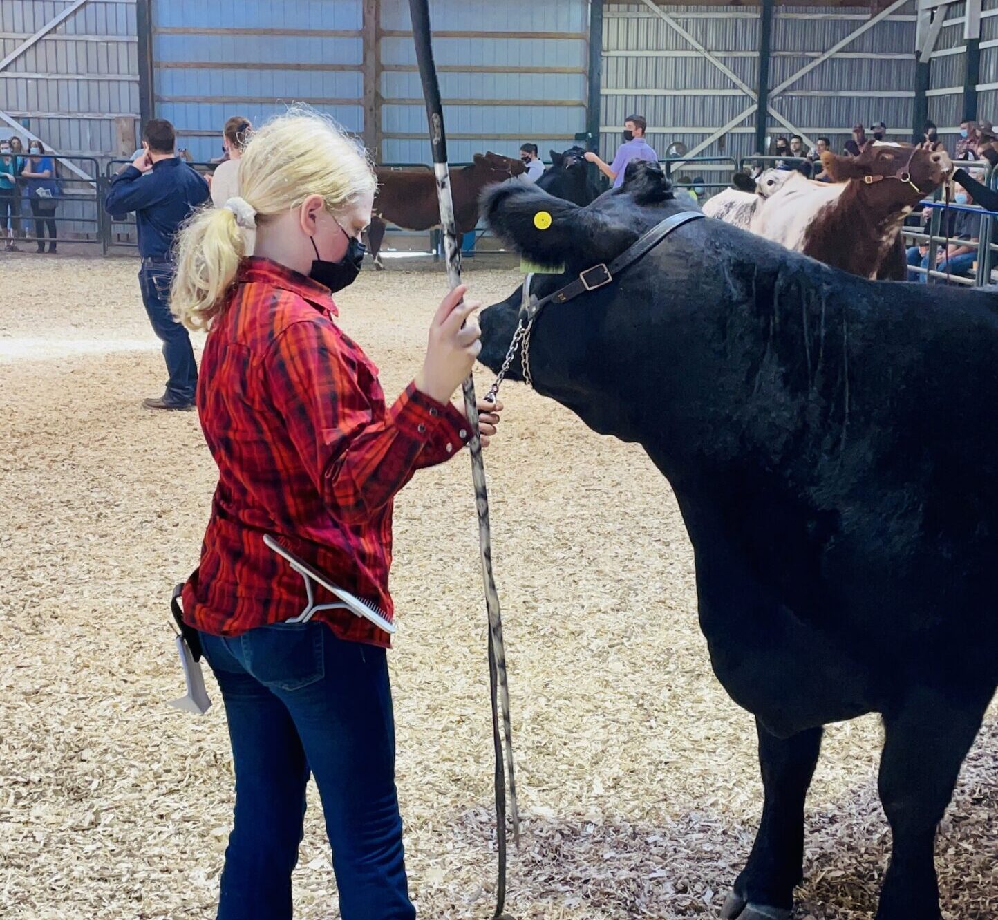 10 Fun Things to Do at the Erin Fall Fair